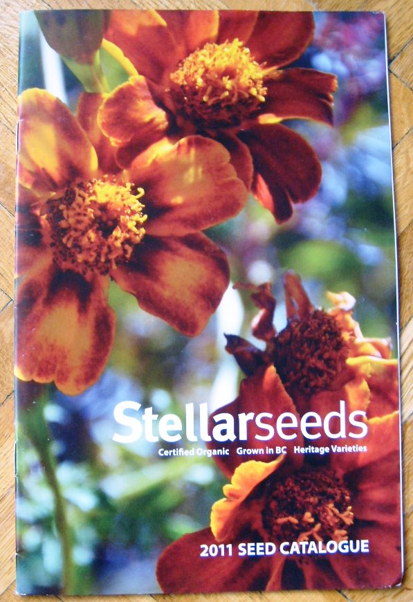 Green, Broke & Living in Kits: Stellar Seeds - STELLAR PEOPLE!!!
