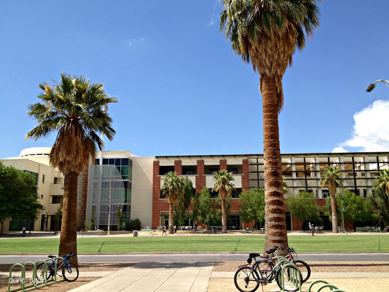 Diane Again: Arizona Adventures: The Heart Of The Campus