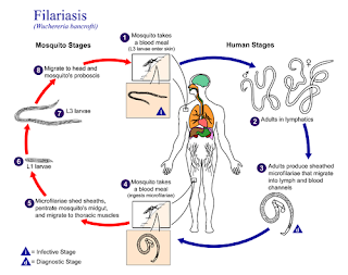 Psychology of Medicine: Filariasis