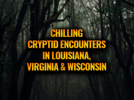 Phantoms & Monsters: Pulse of the Paranormal: Chilling Cryptid ...