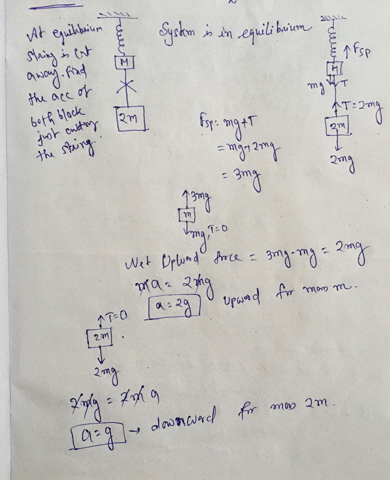 Update ANS: Class 11 PHYSICS STRING SPRING TENSION FORCE NLM QUESTION