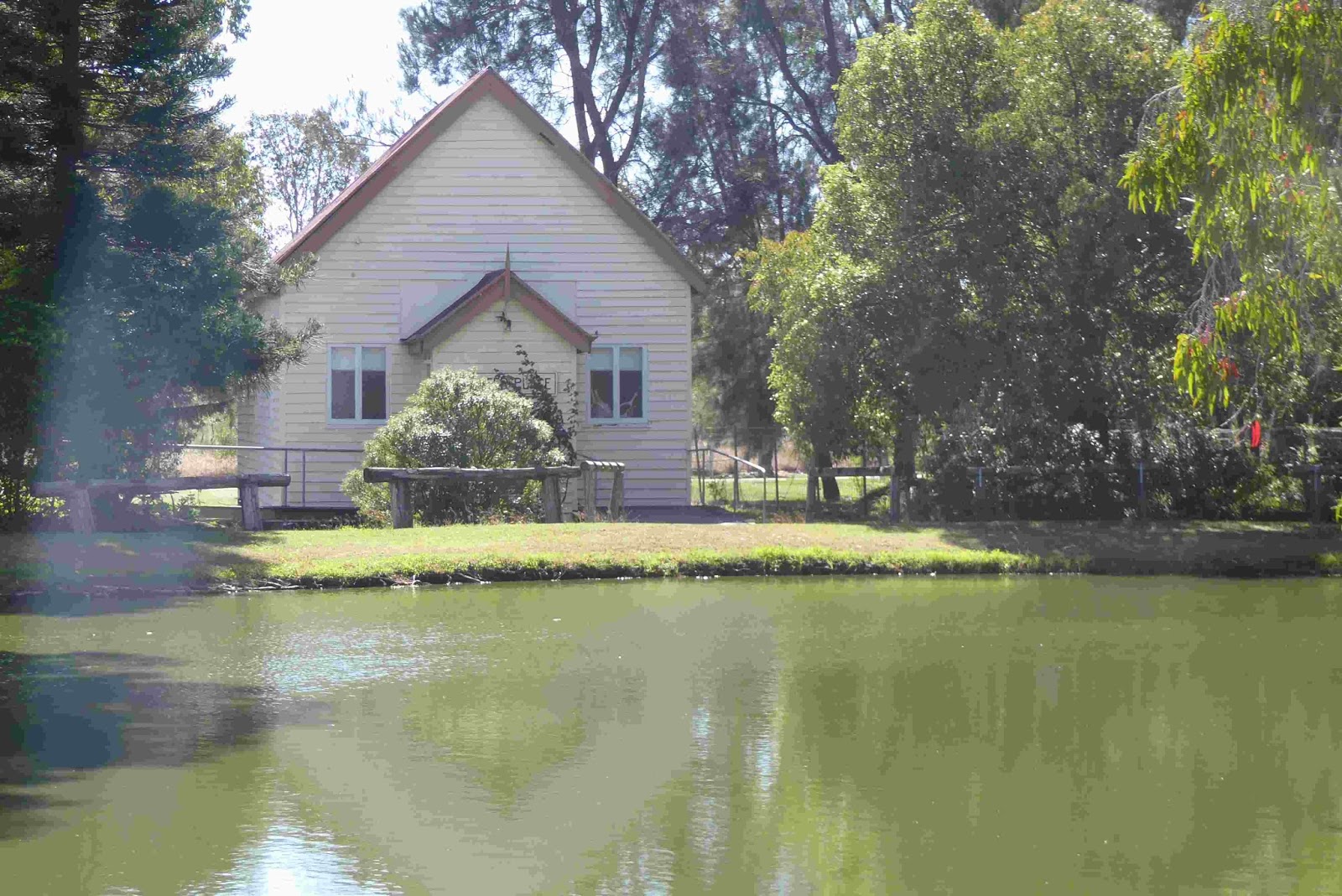 Are We There Yet?: Biloela - White Cockatoo - Queensland