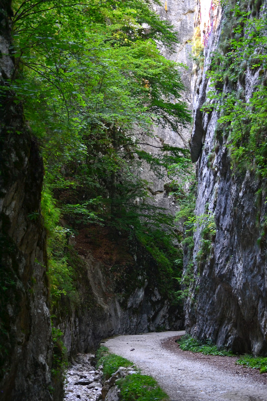Aer de Romania: Magura - Cheile Zarnesti - Curmatura