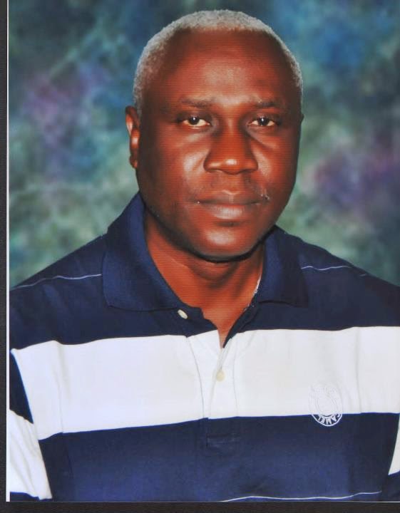 Pat Ifon for House of Representatives, 2015