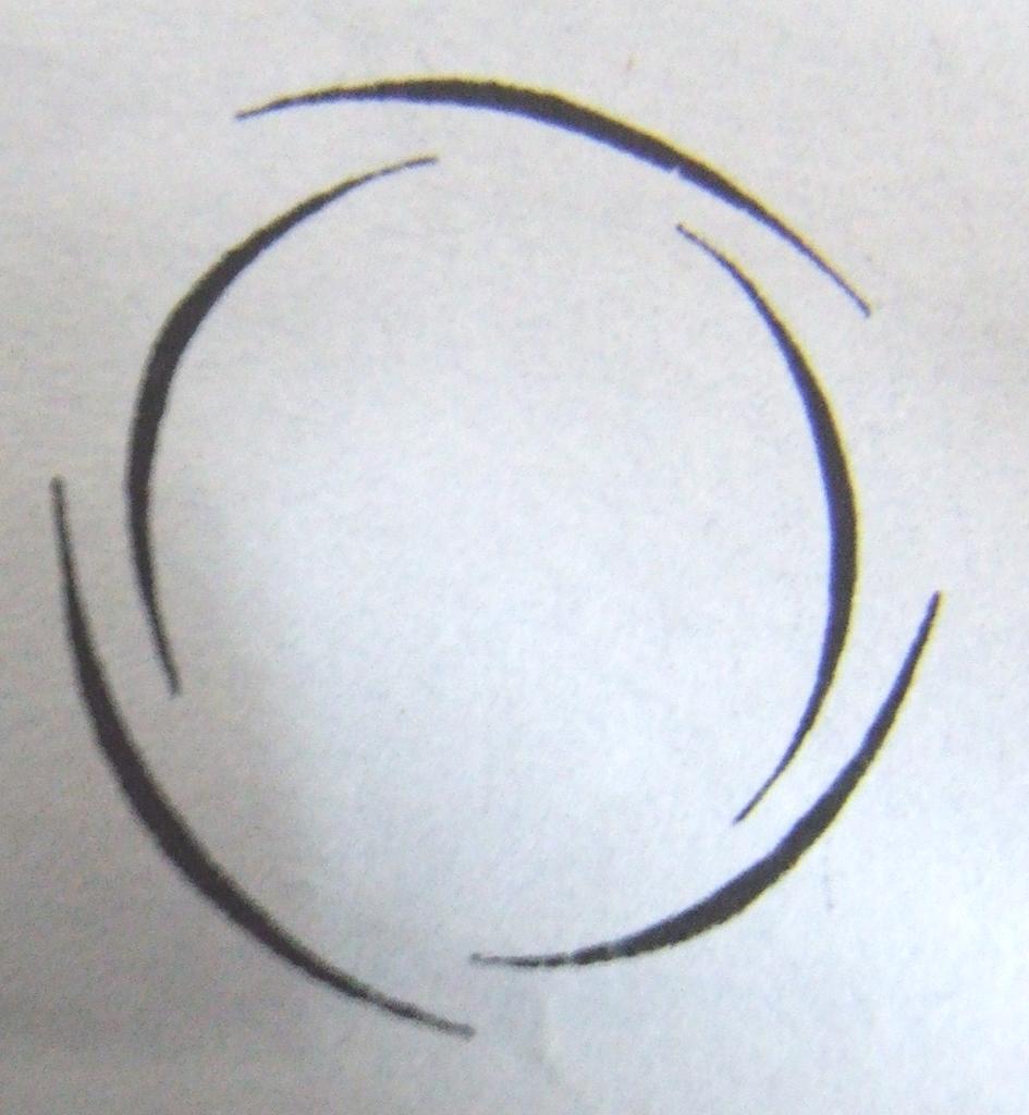 Different Types Of Aestivation In Plants | Biology Blog