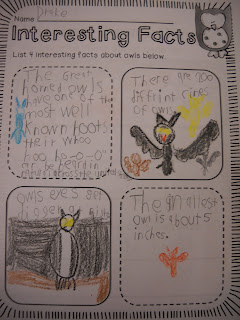 Rulin' The Roost: Owls, Bats and Spiders?!