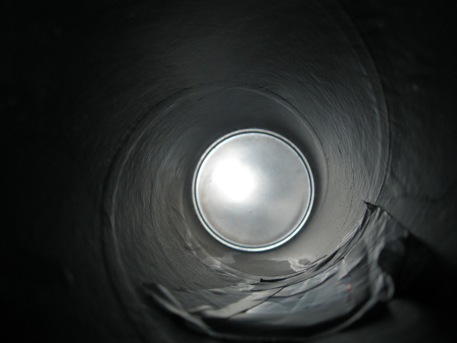 Rosa Mai - Photography: C'est la Vie: 2/15/11 - Pringles Can Cameras Photos