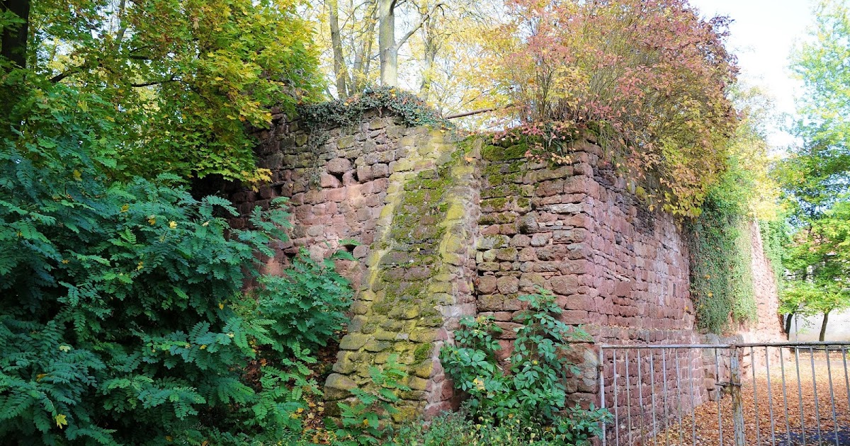 Die Pfalz und ihre Sehenswürdigkeiten: Burg Stauf