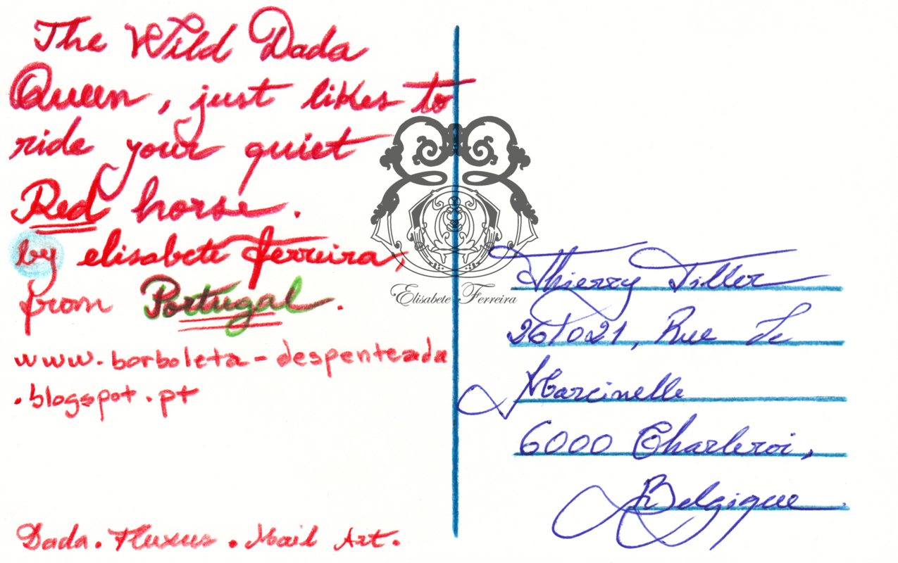 Borboleta Despenteada: 2019