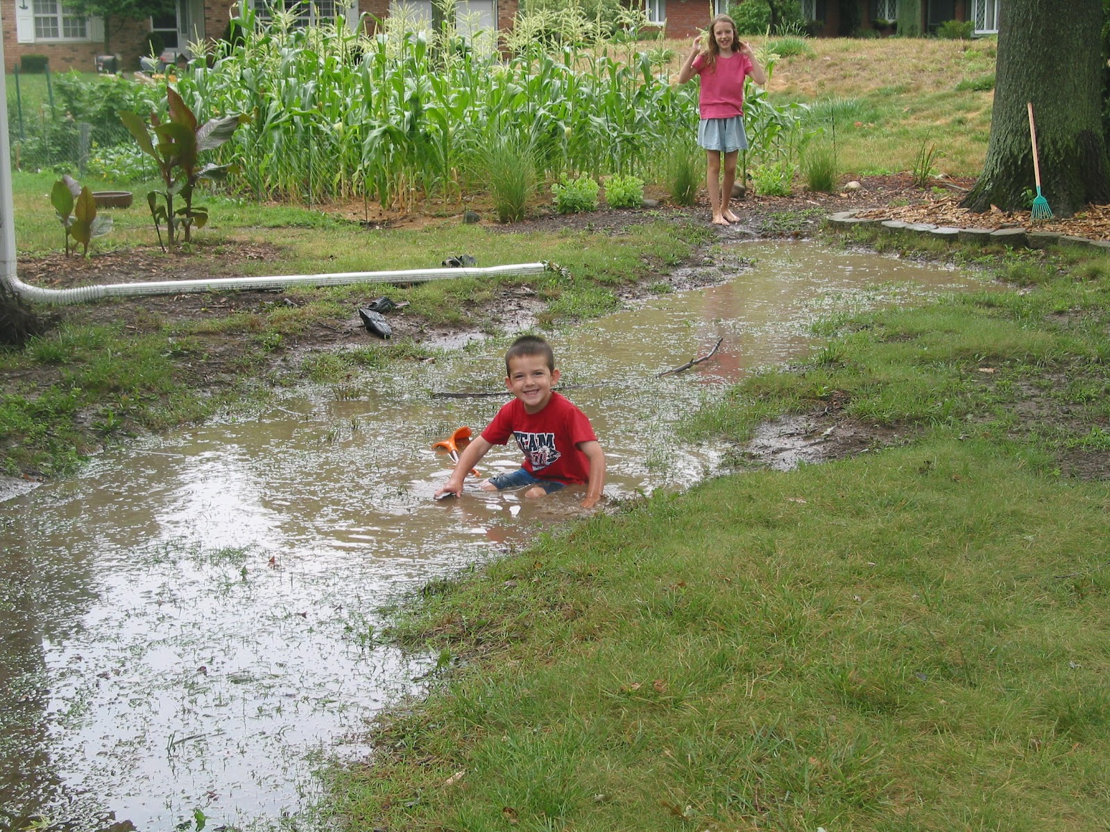 Light at Home: Puddle Fun