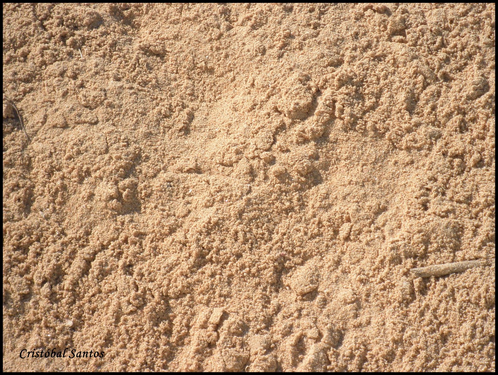 DESDE MI CALLE: Somos arena