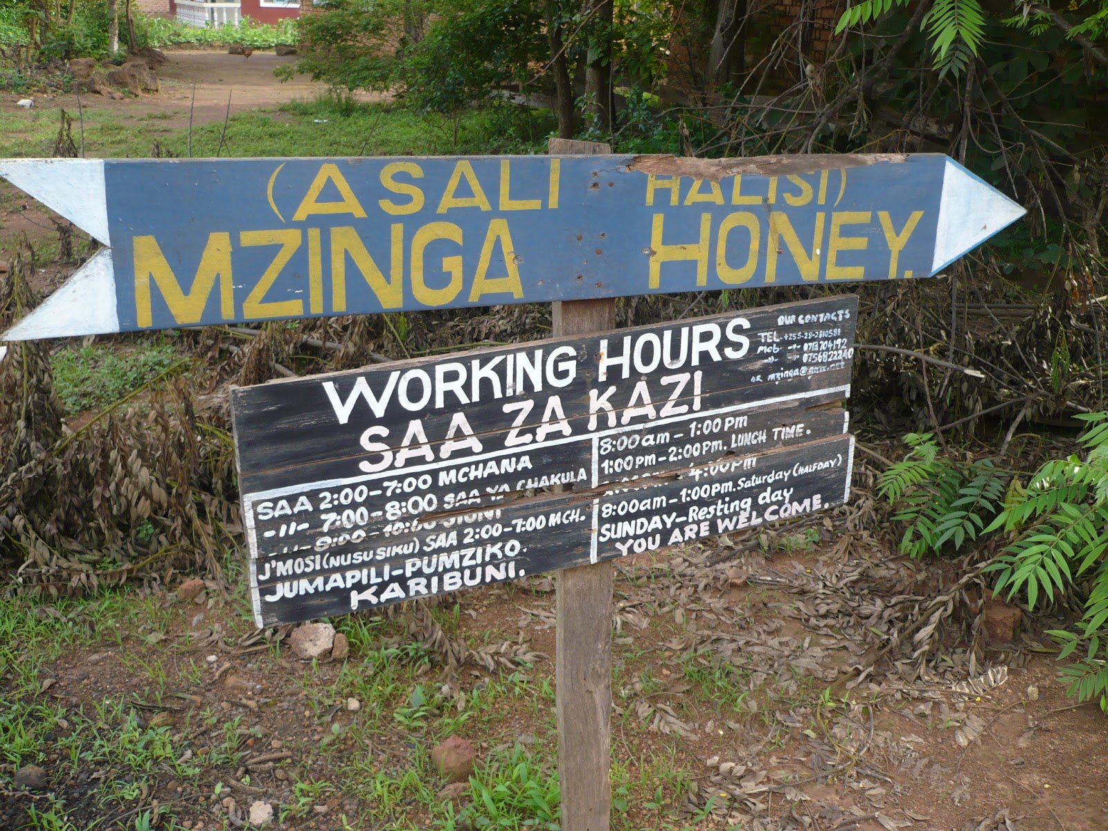A Detour by Way of the Beehive: Discovering the Kasulu Beekeepers ...
