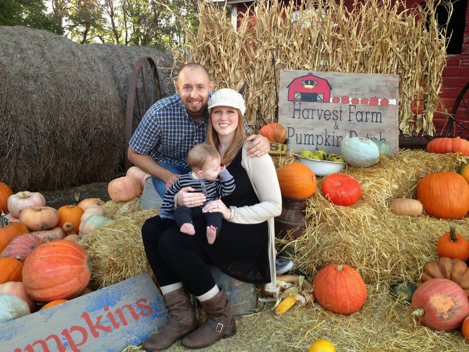 HOME CHRONICLES: First Pumpkin Patch