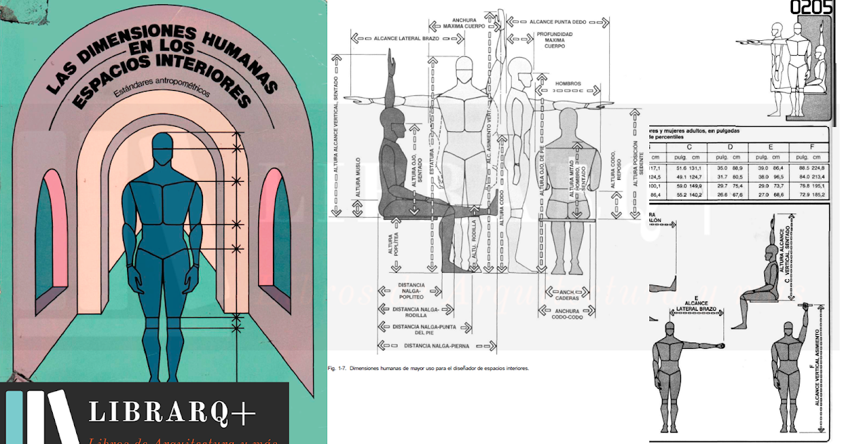 LAS DIMENSIONES HUMANAS EN LOS ESPACIOS INTERIORES - ESTANDARES ...