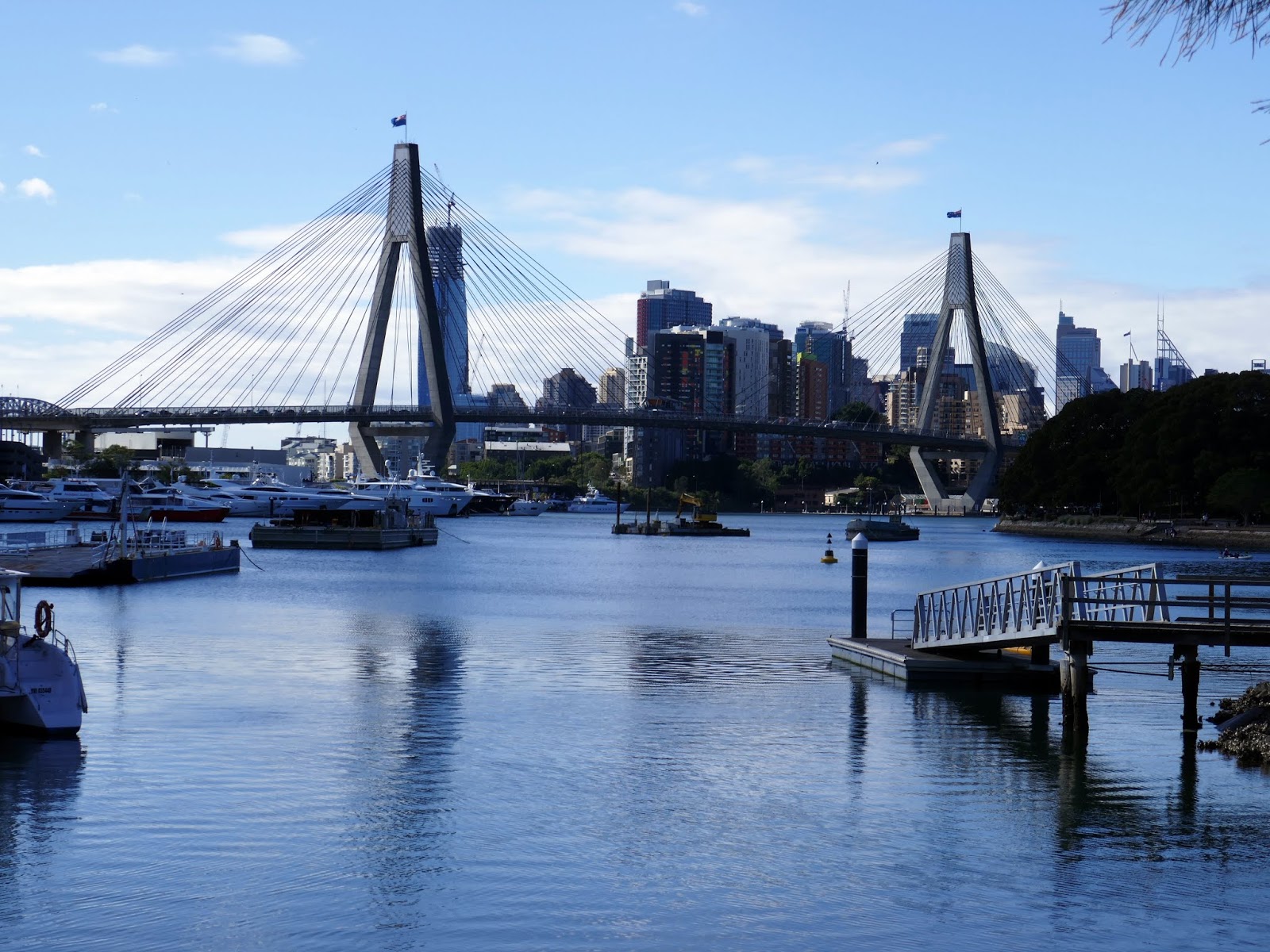 All The Gear But No Idea: Rozelle Bay & Blackwattle Bay