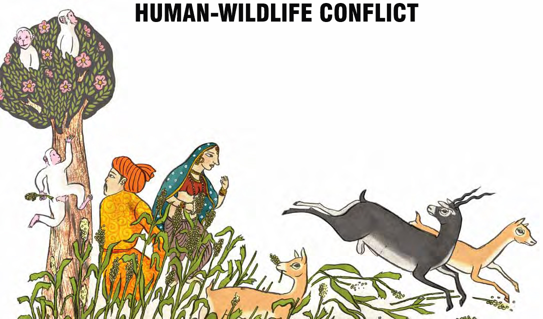 Utopian Community - Best Articles for Everyone: HUMAN-WILDLIFE CONFLICT