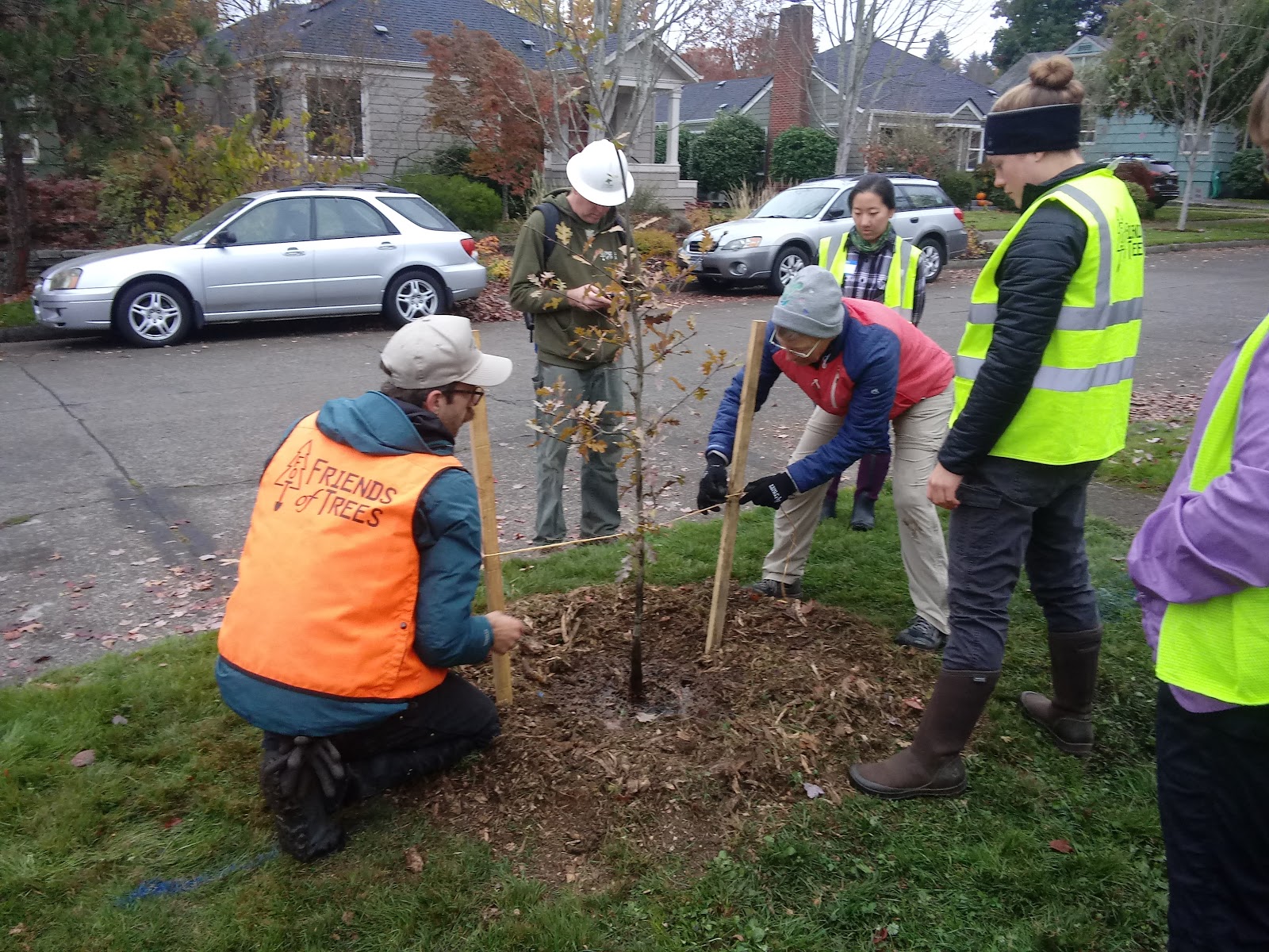 Kent's Bike Blog: Bicycle Tree Planting with Friends of Trees