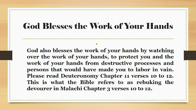 Olives International: How God Blesses the Work of Your Hands