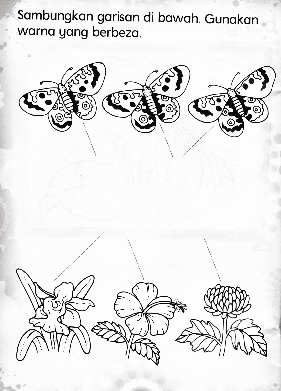 Tema : Tumbuh-tumbuhan ( Bunga ): Lembaran kerja