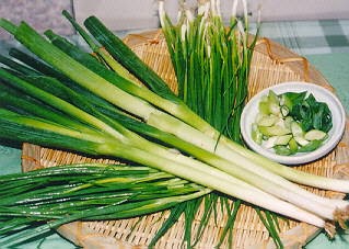 Bawang prei = Leek | Indonesian Original Recipes