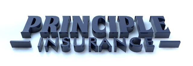 Chapter 2 Basic Principles Of Insurance Iaskdiana chapter-2-basic-principles-of-insurance-iaskdiana