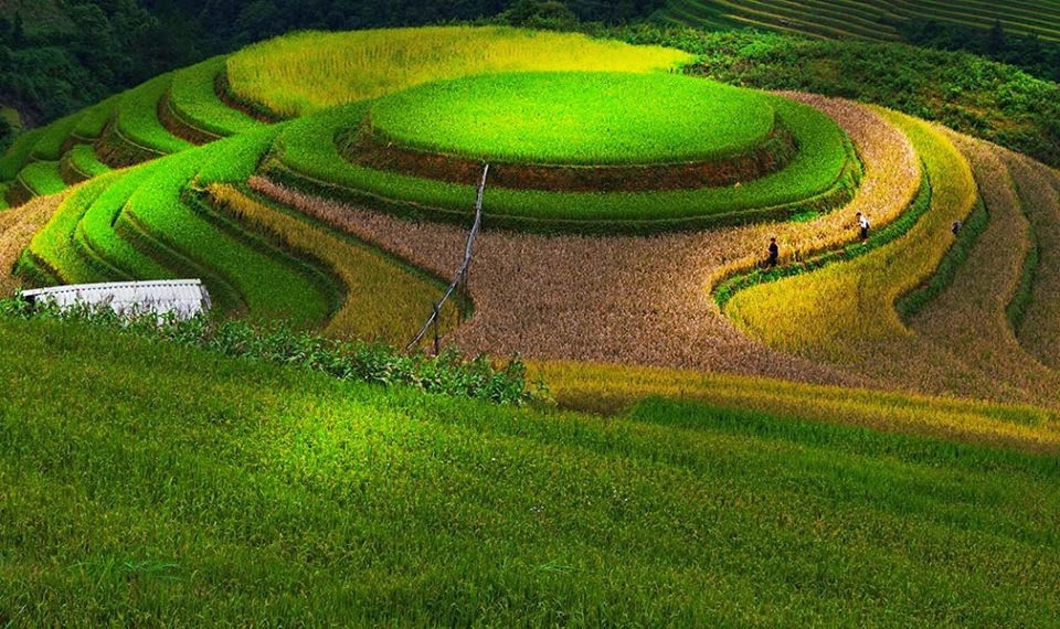 Top 10 Iconic Landscapes of Vietnam