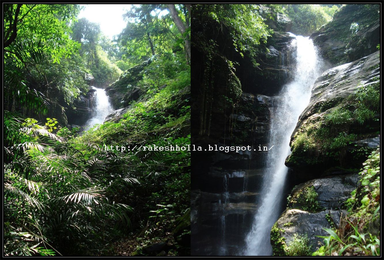 The Voice of Greenery - Trekking and Travelling in Western Ghats ...