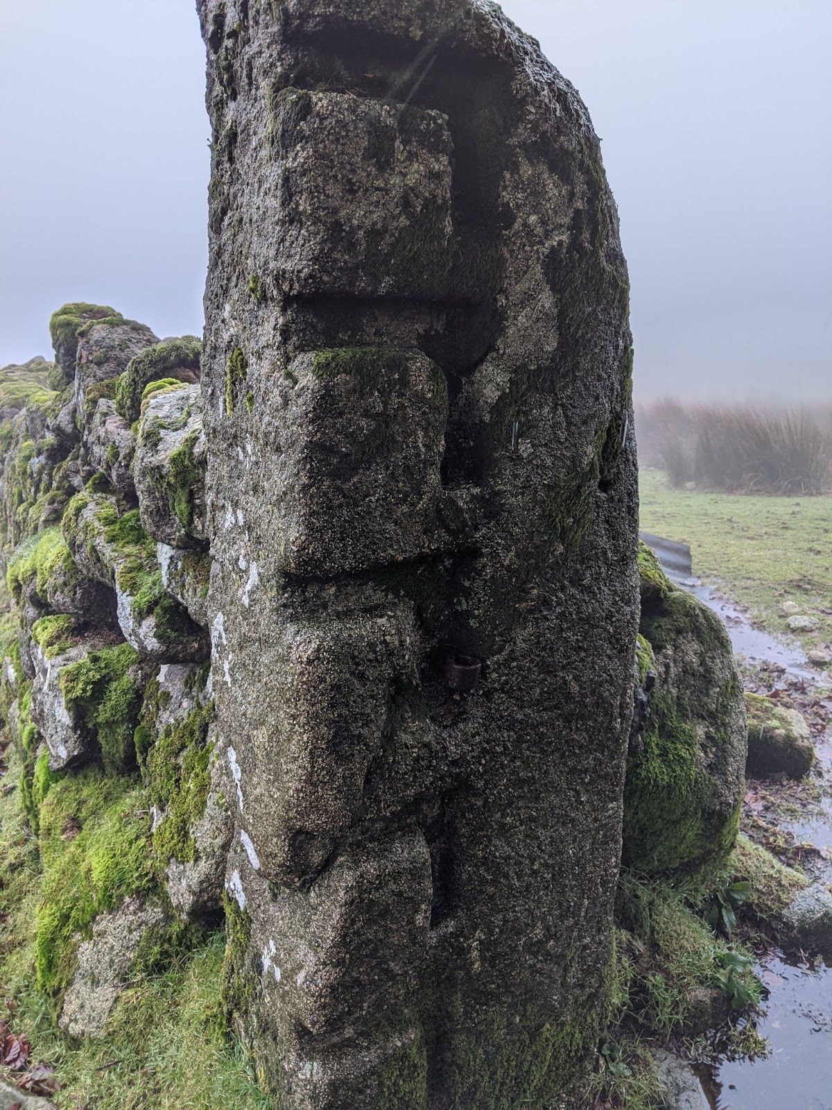 Max Piper - Tor Bagger: Dartmoor: Back to Fernworthy Forest (11.77 miles)