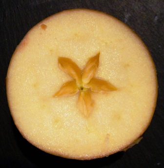 Sun Hats & Wellie Boots: Apple Star Prints