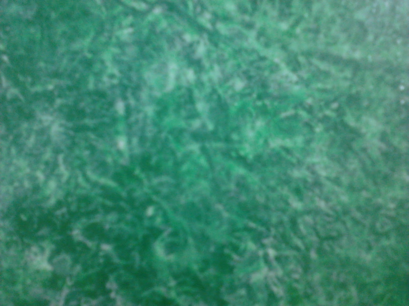 Hayashi no Ie: Projetos em MDF: Porta-Pratos de Jade