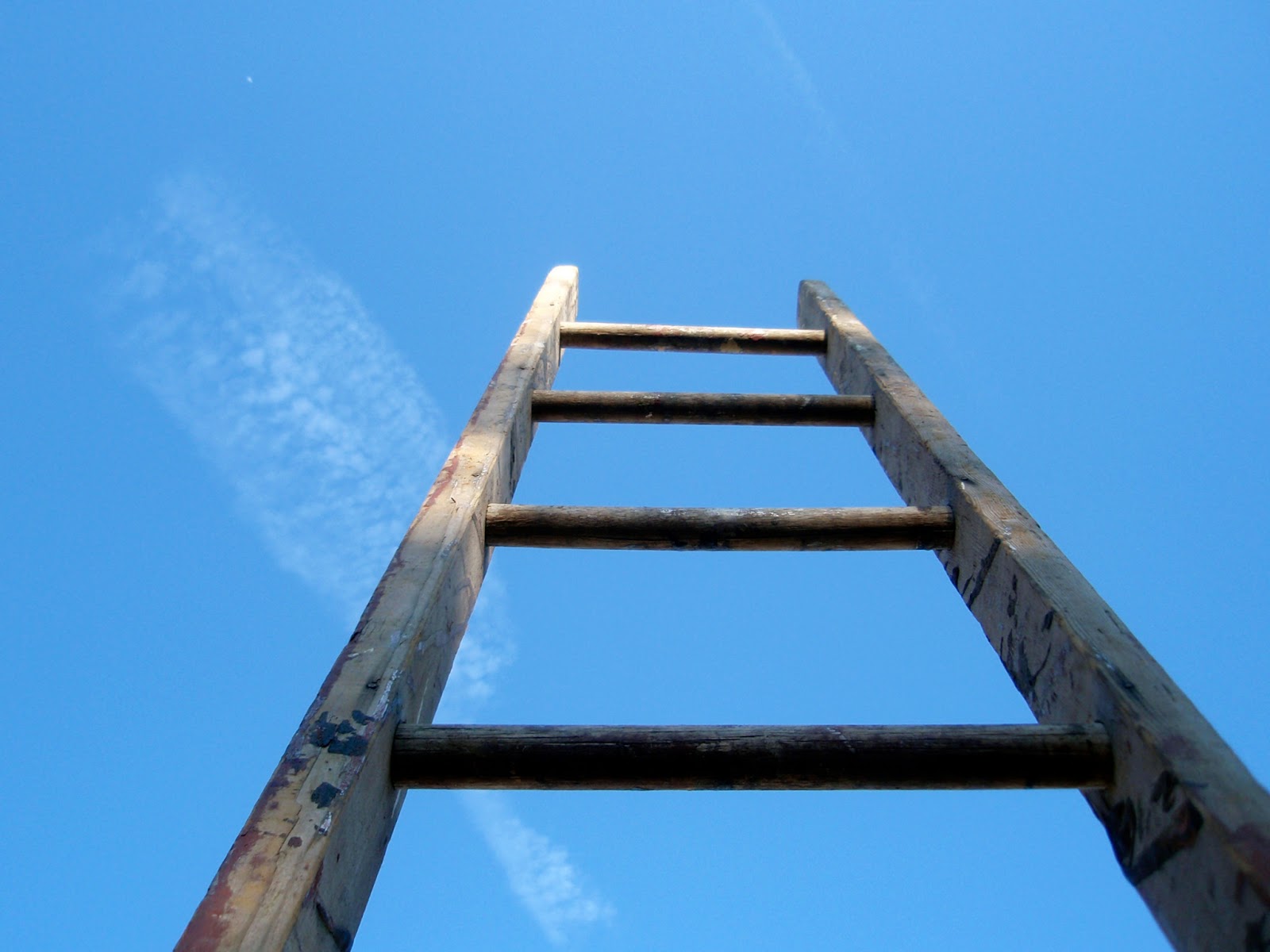 long journey home: a higher perspective on ladders