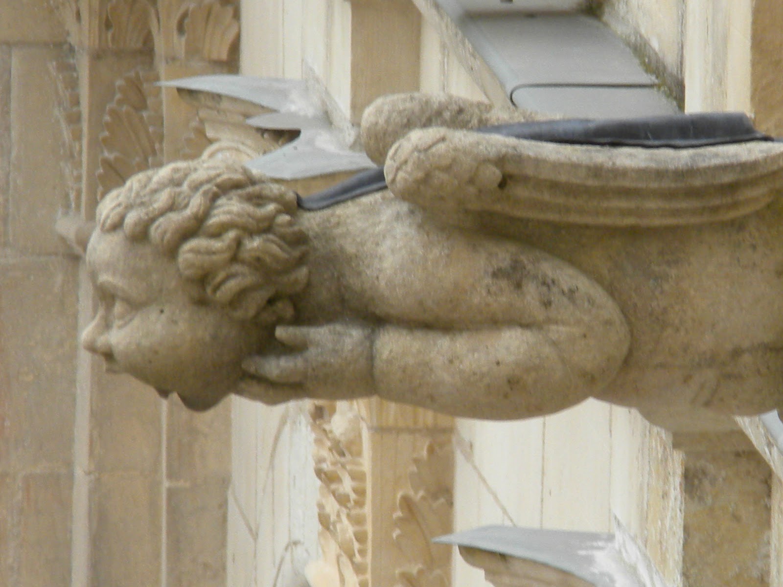 gather: Gargoyle At Chartres Cathedral