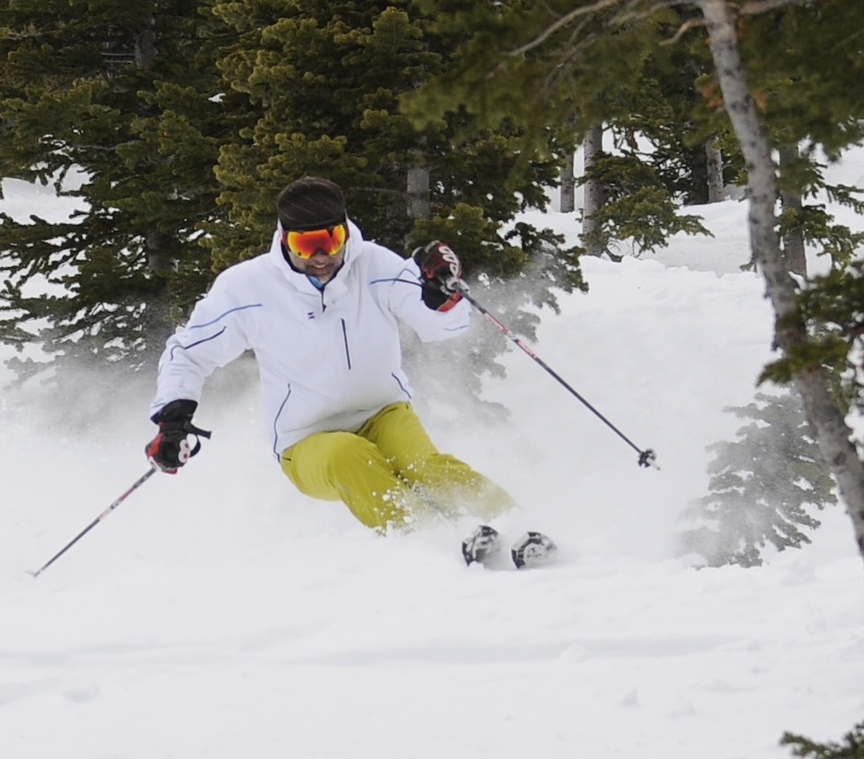 Ski the Modern way with Harald Harb: Tree Skiing Control