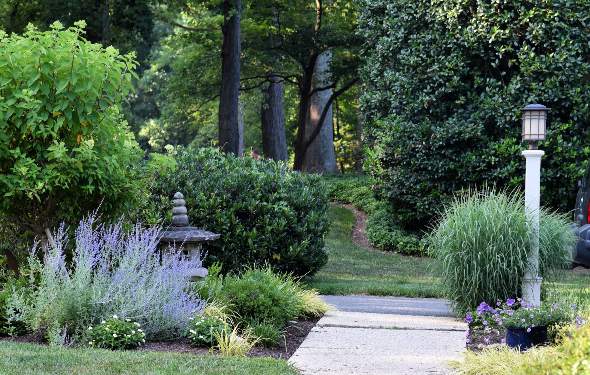 All About Vignettes: MY AUGUST GARDEN: RUSSIAN SAGE AND CARLY ROSE GRASS