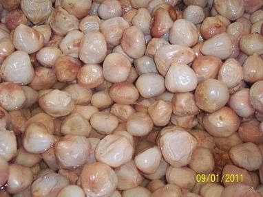 VISUAL DIARY: kelubi....antara jeruk jadi rebutan