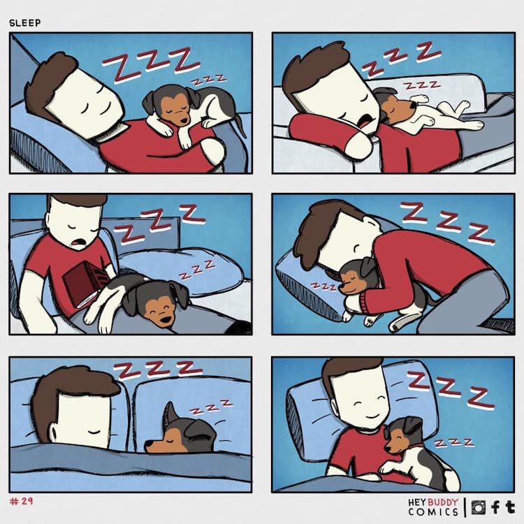 Hey Buddy Comics, las crónicas de la especial relación entre perros y ...