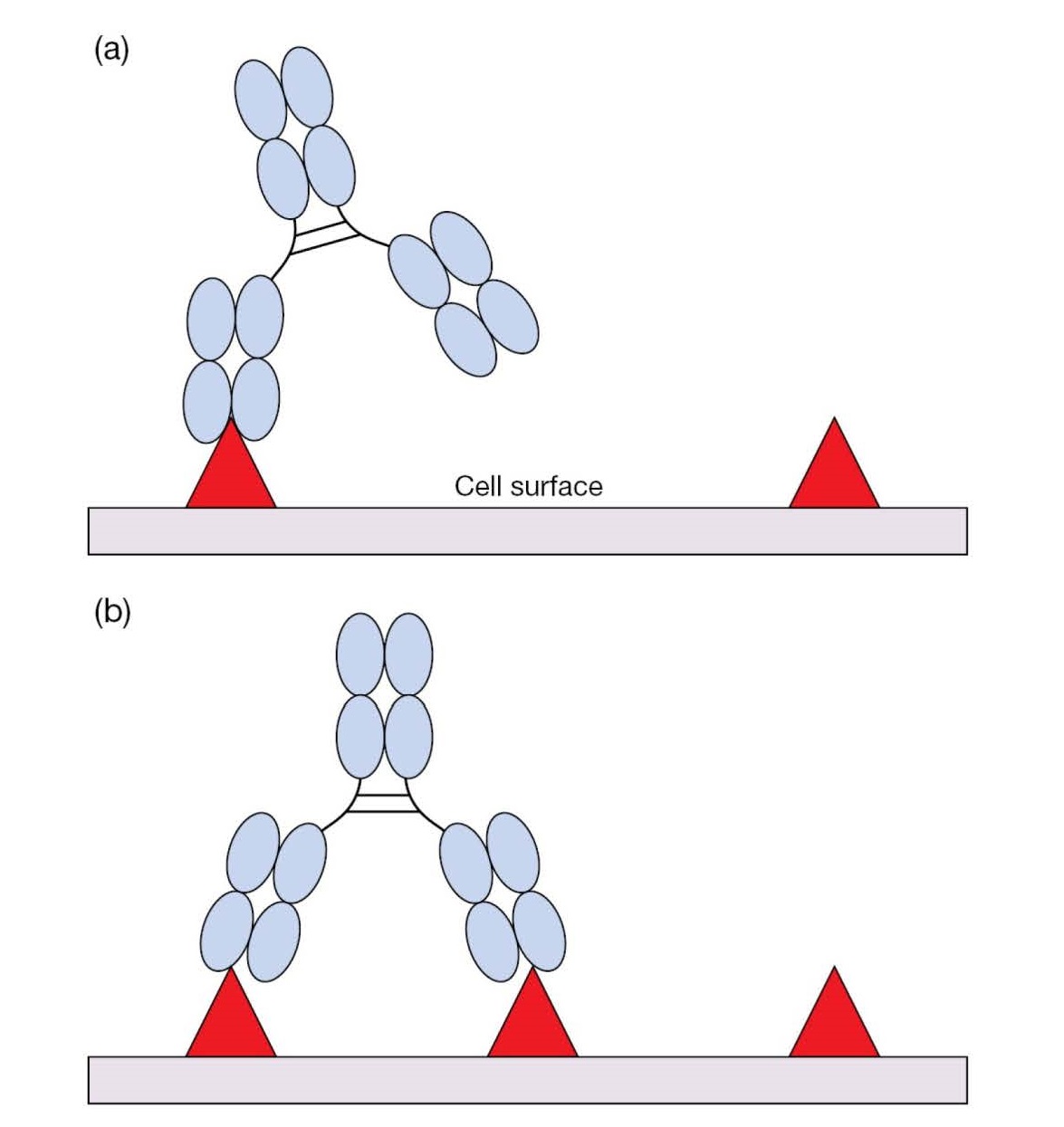 Thermodynamics of Antibody Antigen Interactions - pediagenosis