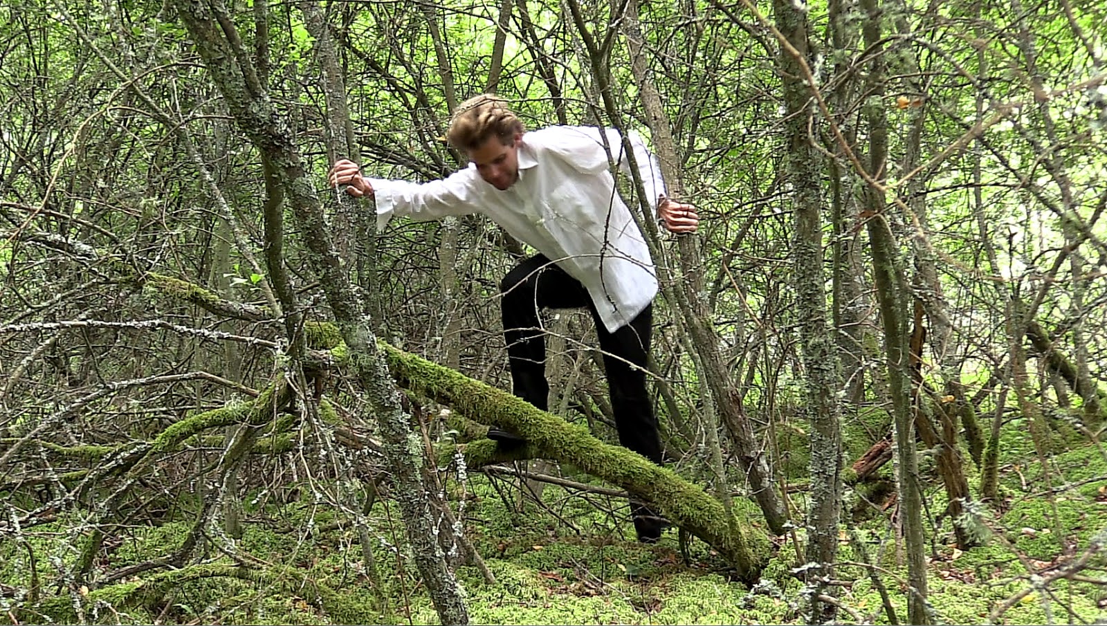 The Lone Animator: H P Lovecraft's "The Thing In the Moonlight"