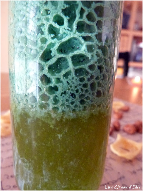 Bave de crapaud à boire | Une Graine d'Idée