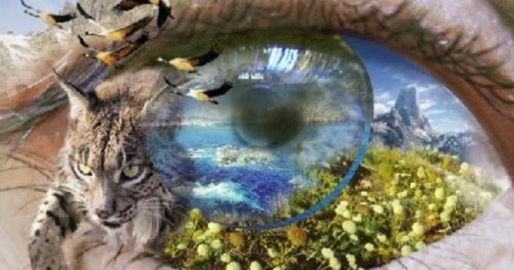 Naturaleza del mundo: Naturaleza Mundial