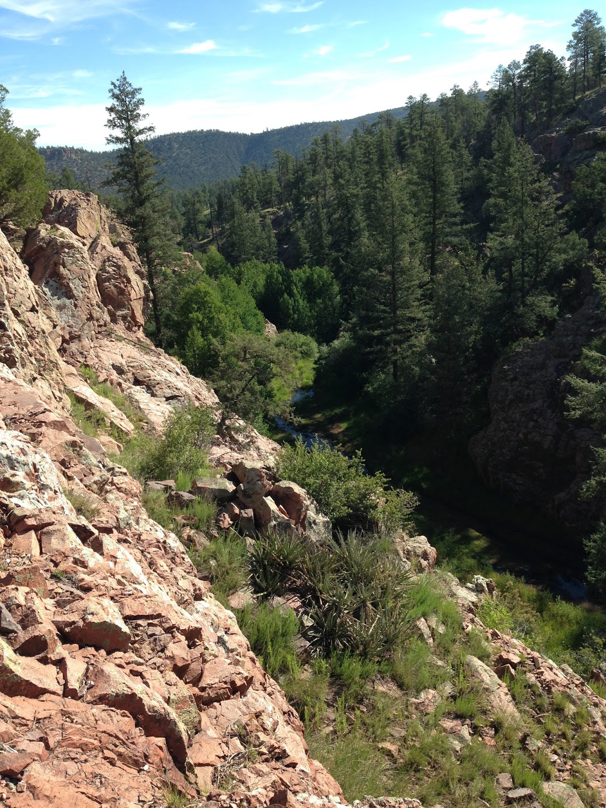 Southern New Mexico Explorer: Diener Falls,Zuni Mountains- Cibola ...