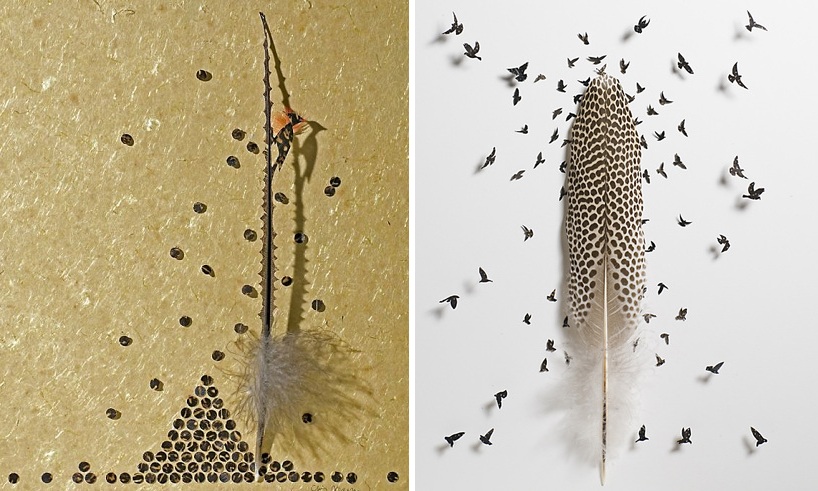 Simply Creative: Feather Art by Chris Maynard