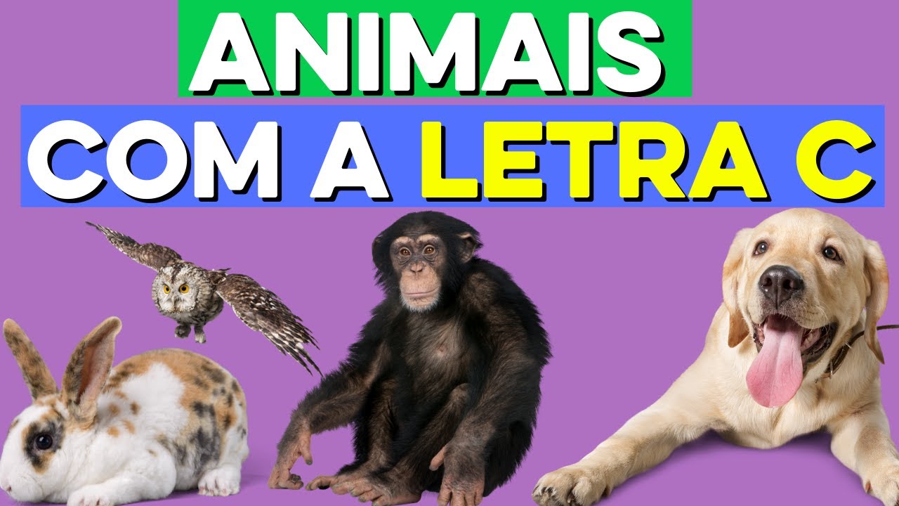 Atividades Infantis: Nome dos Animais que começam com a Letra C ...