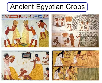 Ancient Egyptian Crops | Travel | Before It's News