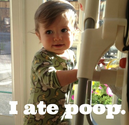 The Larson Lingo: That Time Luke Smeared Poop All Over His Crib. And ...