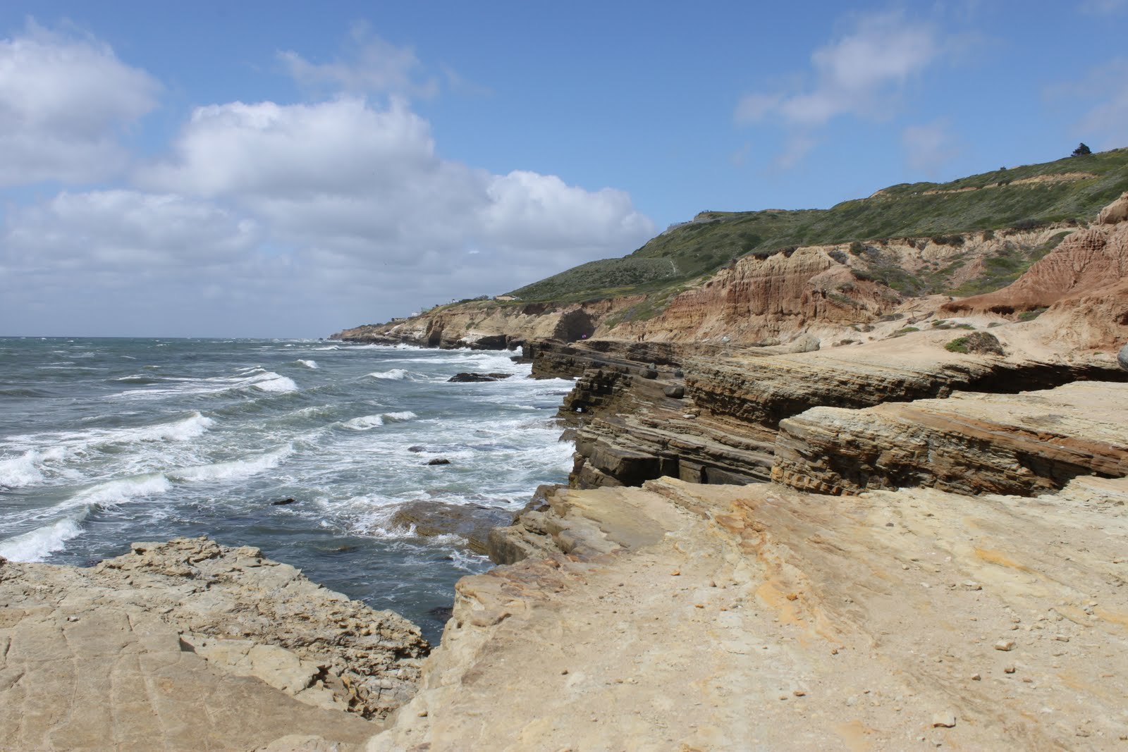 An Eclectic Odyssey: Point Loma, San Diego