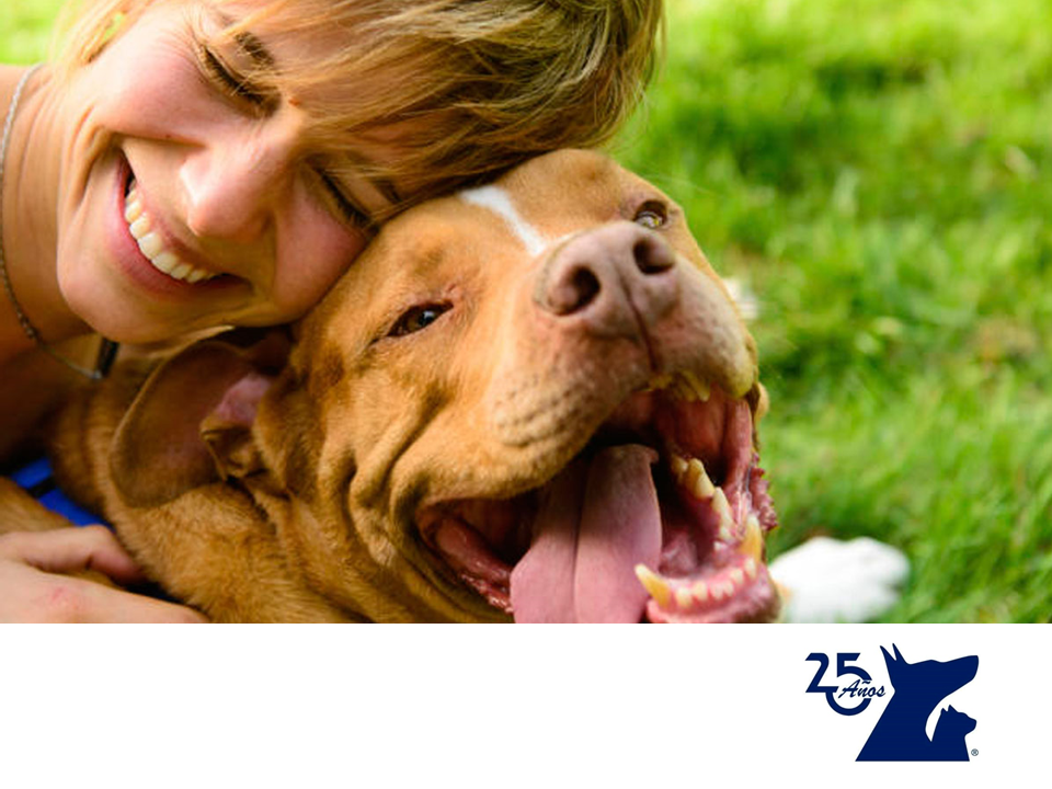 TIPS PARA MASCOTAS: Beneficios a la salud por tener un perro. CLÍNICA ...