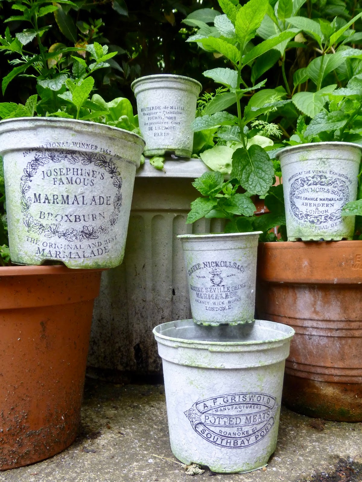Words and Pictures: Rustic Plant Pots