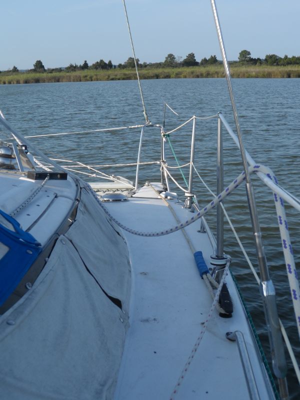 Sail Delmarva: Long Bridles