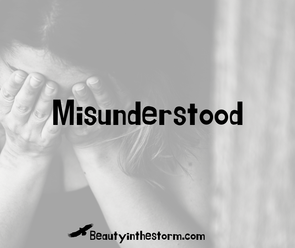 ~Beauty In the Storm ~: Misunderstood